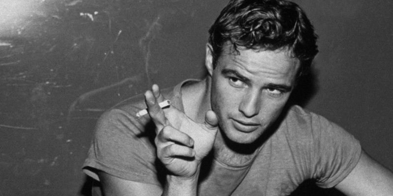 1+1 Express | Viva Brando